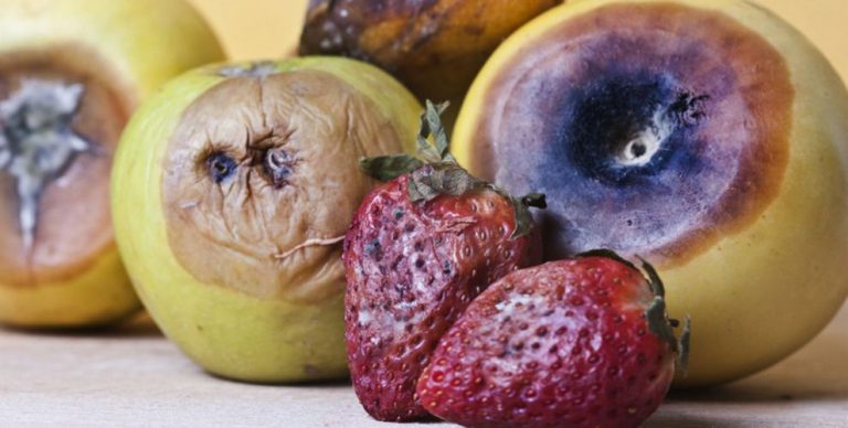 ¿Pachiche? - Hoy Supe