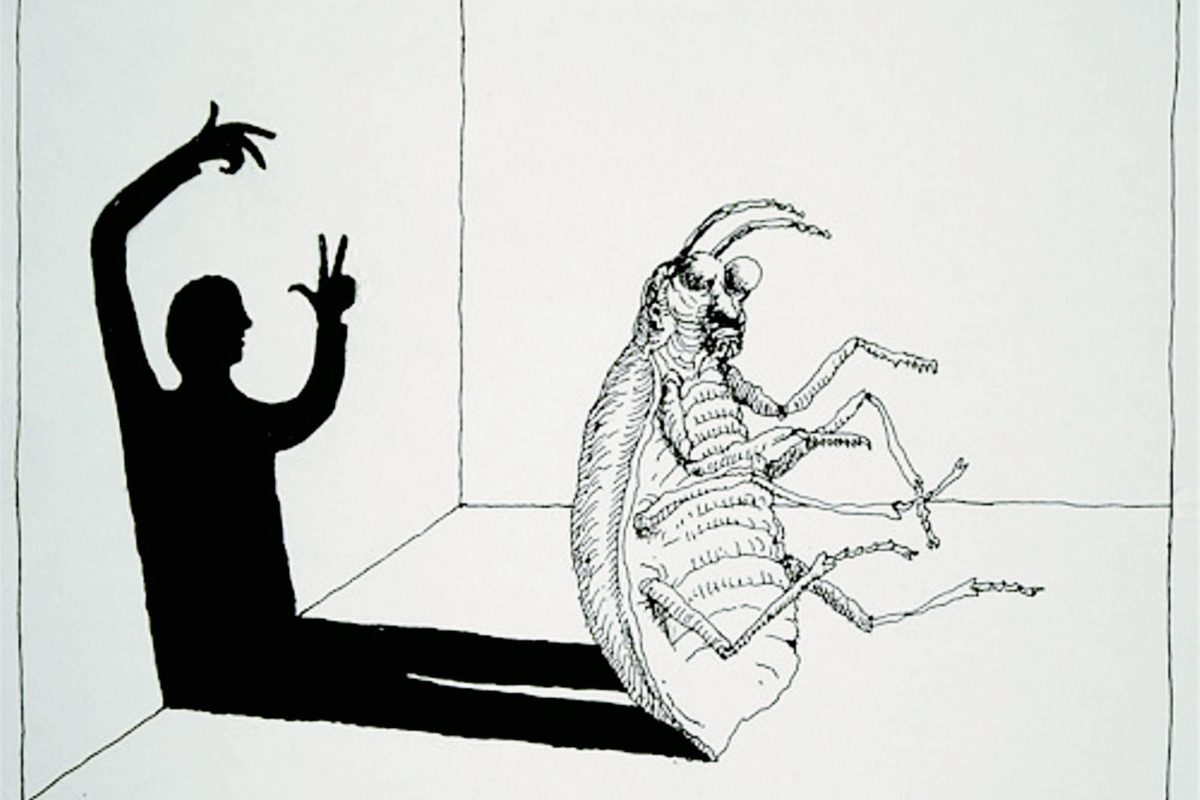 La Metamorfosis de Kafka: transfórmate para siempre - Hoy Supe La Metamorfosis de Kafka: transfórmate para siempre - Hoy Supe